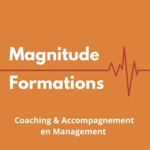 Formation Copilot IA - Magnitude Formations